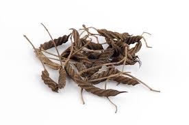 Discover the Power of the East Indian Screw Tree in Detoxification